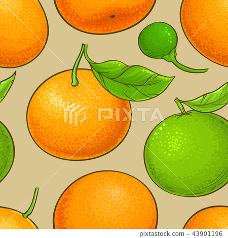 mandarin vector pattern - Stock Illustration [43901196] - PIXTA