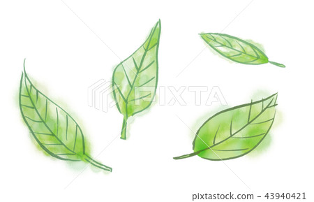 Leaf Leaf Fresh green Wakaba Nature White... - Stock Illustration ...