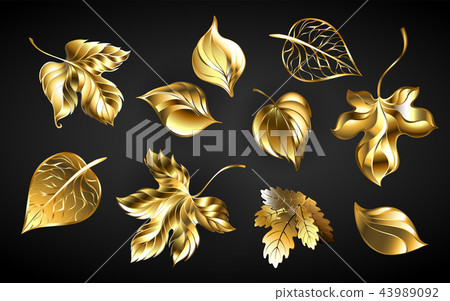 set of golden leaves - Stock Illustration [43989092] - PIXTA