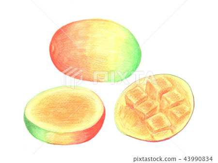 Color pencil mango - Stock Illustration [43990834] - PIXTA