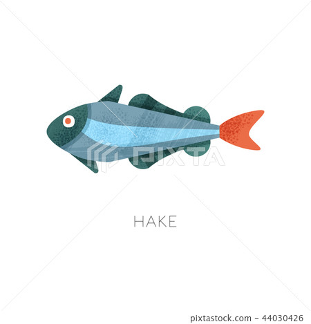 Icon of hake fish. Marine creature. Sea and... - Stock Illustration ...