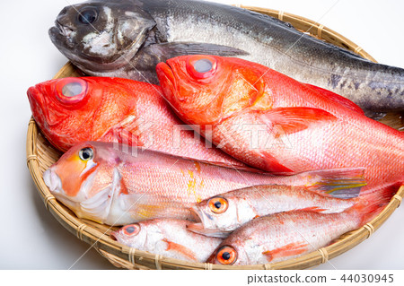 Fish Assortment - Stock Photo [44030945] - PIXTA