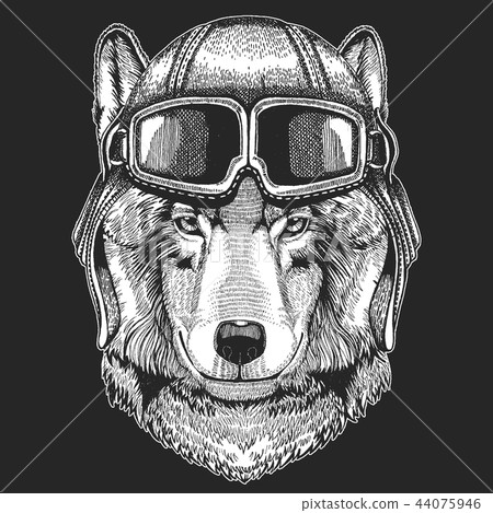 Wolf wearing aviator hat. Print for children. Stock Illustration 44075946 PIXTA