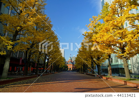 Sapporo-shi north 3 streets square - Stock Photo [44113421] - PIXTA