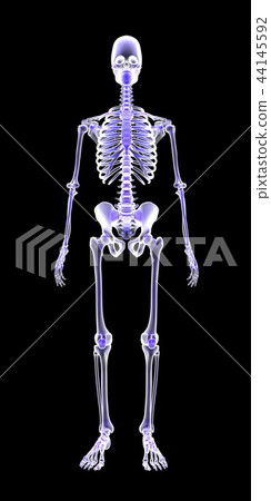 Blue Human Anatomy Skeleton 3D Scan render on... - Stock Illustration ...