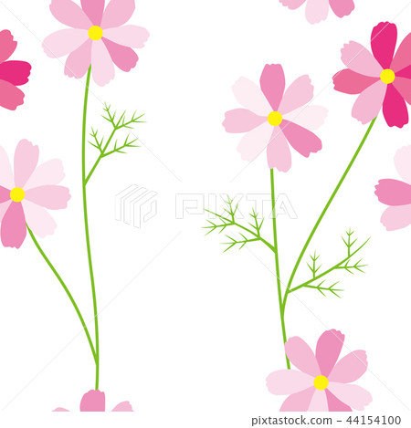 Pattern cosmos white - Stock Illustration [44154100] - PIXTA