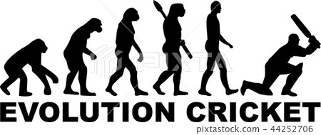 Cricket Evolution - Stock Illustration [44252706] - PIXTA