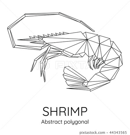 Abstract Polygonal geometric shrimp. - Stock Illustration [44343565 ...