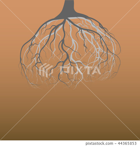Strong Plant Roots against Soil Background - Stock Illustration ...