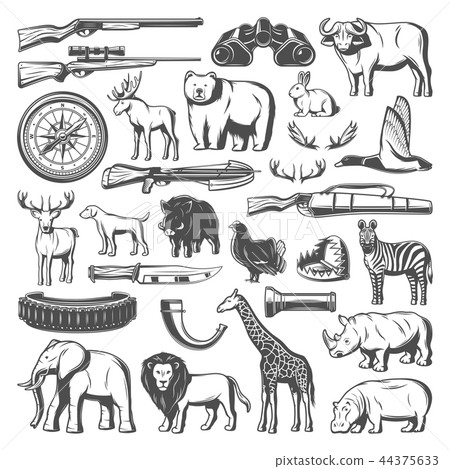 Hunting Equipment Vector