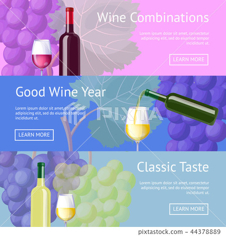 Wine Combinations and Classic Taste Promo banners - Stock Illustration ...