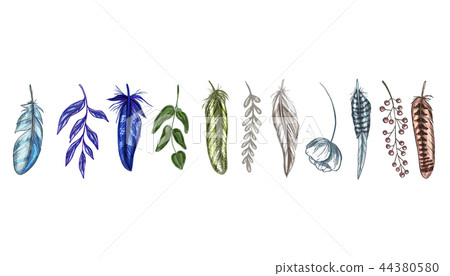 Colorful detailed bird feathers and leaves - Stock Illustration ...