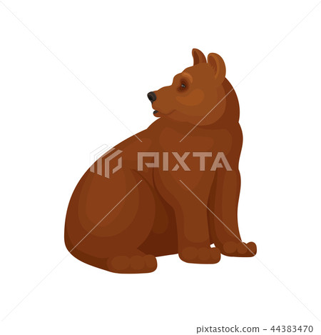 Flat vector illustration of sitting bear, side... - Stock Illustration ...