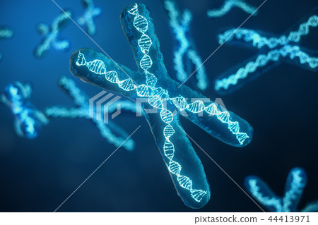 3D illustration X-Chromosomes with DNA carrying... - Stock Illustration ...
