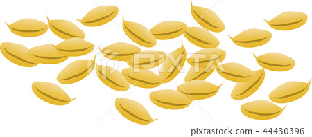 Chaff - Stock Illustration [44430396] - PIXTA
