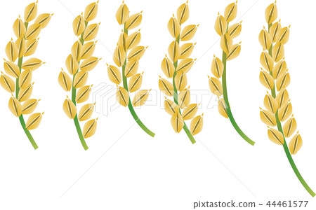 Chaff - Stock Illustration [44461577] - PIXTA