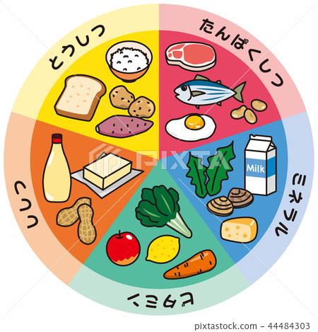 Five major nutrients - Stock Illustration [44484303] - PIXTA