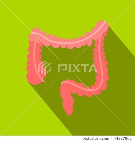 Colon flat icon with shadow - Stock Illustration [44587962] - PIXTA