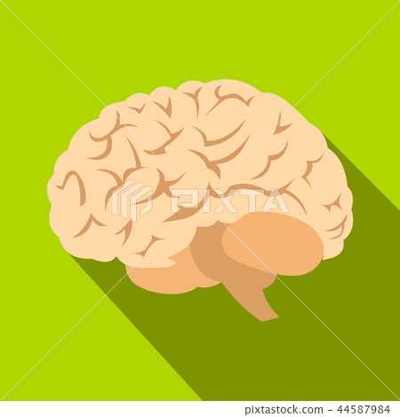 Human brain flat icon with shadow - Stock Illustration [44587984] - PIXTA