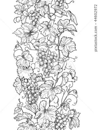 Seamless Vertical Pattern with Grapes - Stock Illustration [44602972] - PIXTA