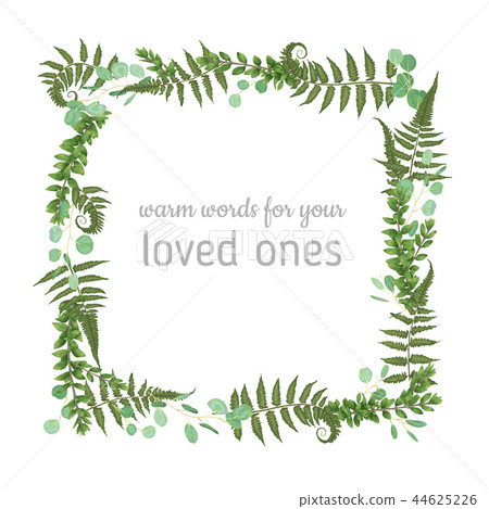 Vector floral card design. Green fern forest - Stock Illustration ...