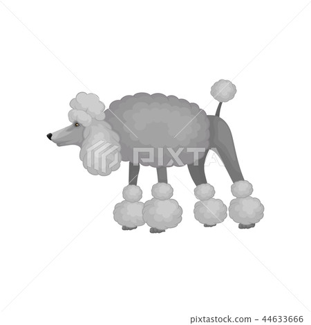 Curious poodle standing with raised tail... - Stock Illustration ...