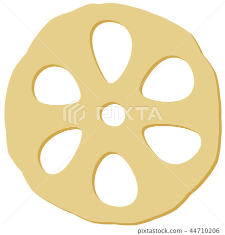 Cross section of lotus root - Stock Illustration [44710206] - PIXTA