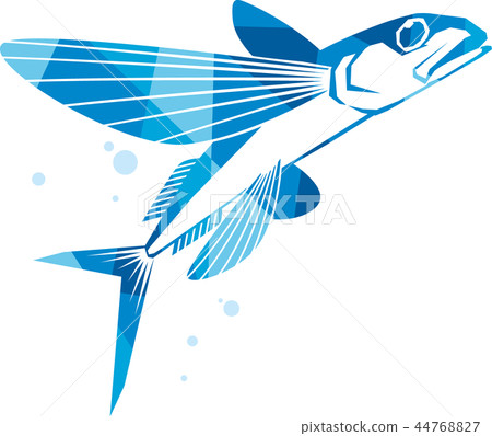 Print style flying fish Right - Stock Illustration [44768827] - PIXTA