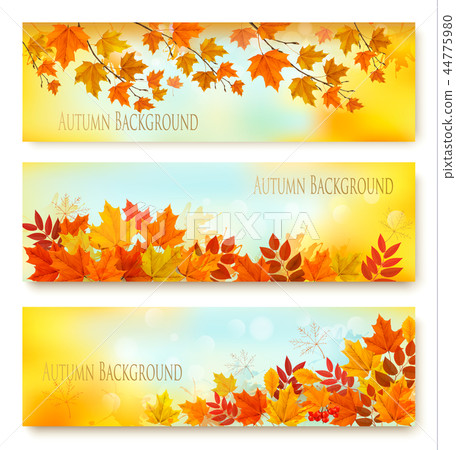 Three Autumn Nature Banners With Colorful Leaves - Stock Illustration ...