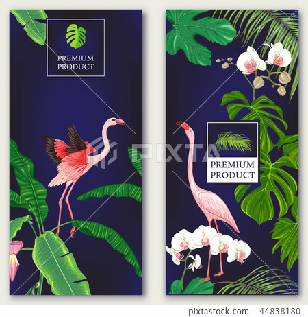 Set of two templates for label with tropic - Stock Illustration ...