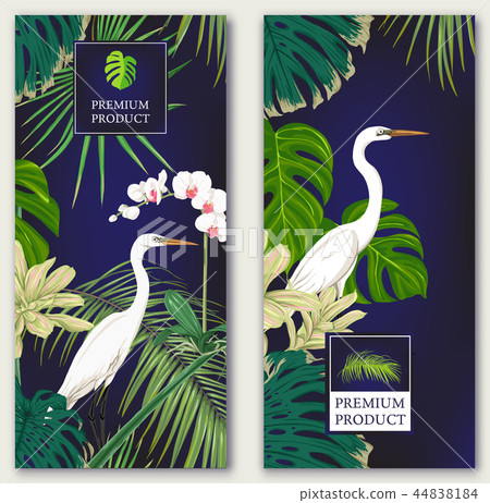 Set of two templates for label with tropic - Stock Illustration ...