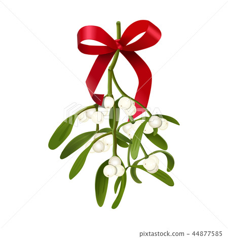 Mistletoe Vector Free Download
