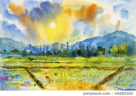 Watercolor landscape painting of rice field. - Stock Illustration ...