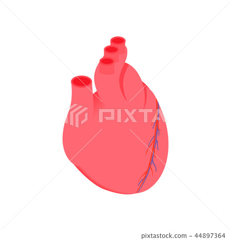 Anatomical heart isometric 3d icon - Stock Illustration [44897364] - PIXTA
