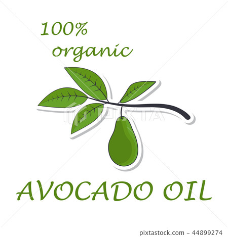 Avocado tree branch flat icon. Sticker isolated... - Stock Illustration ...