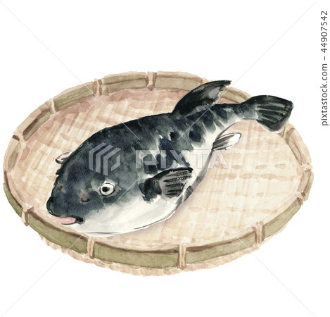 Fugu river pig trout - Stock Illustration [44907542] - PIXTA