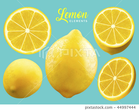 Realistic Lemon elements - Stock Illustration [44997444] - PIXTA