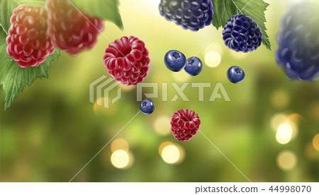 Blue berry and raspberry elements - Stock Illustration [44998070] - PIXTA