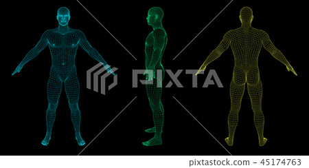Standing man. Wireframe human body. - Stock Illustration [45174763] - PIXTA