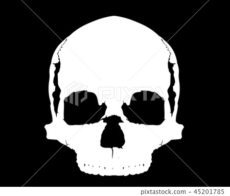 simple skull in full face - Stock Illustration [45201785] - PIXTA