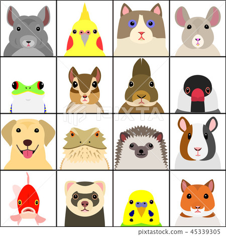 Various pet faces set background color - Stock Illustration [45339305 ...