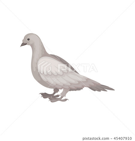 Flat vector icon of gray dove, side view. Bids... - Stock Illustration ...