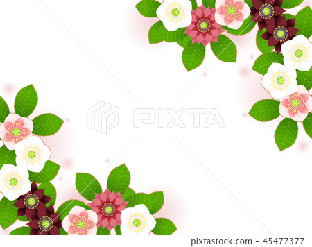 Christmas rose background - Stock Illustration [45477377] - PIXTA