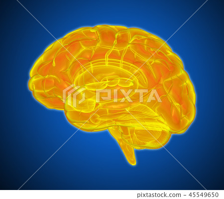 Brain scan illustration isolated on dark blue BG - Stock Illustration ...