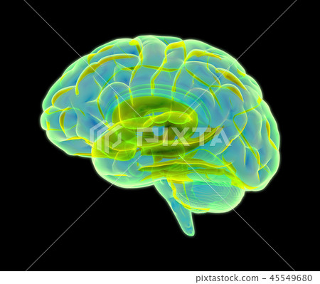 Brain scan illustration isolated on black BG - Stock Illustration ...