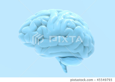 Blue brain illustration isolated on blue pastel BG - Stock Illustration ...