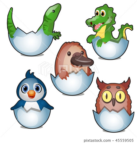 Cute new born animals hatch eggs isolated on... - Stock Illustration ...
