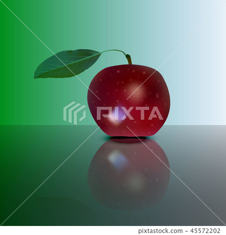 Red apple on mirror Vector - Stock Illustration [45572202] - PIXTA