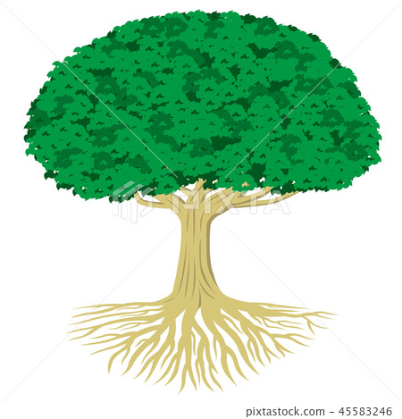 Tree and roots - Stock Illustration [45583246] - PIXTA