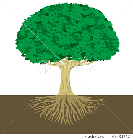 Tree and roots - Stock Illustration [45583247] - PIXTA